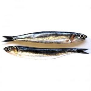 Boquerón | Pescados Ortega